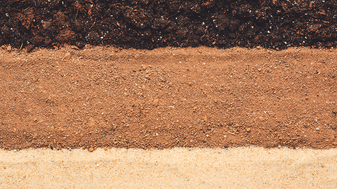 Understanding CEC and What It Means for Your Farm – AgriBio Systems